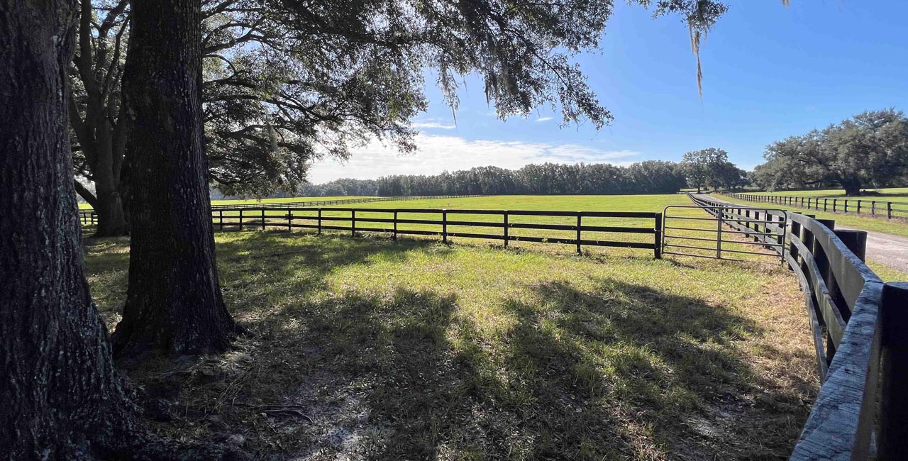 HOME - DIAMOND J RANCH