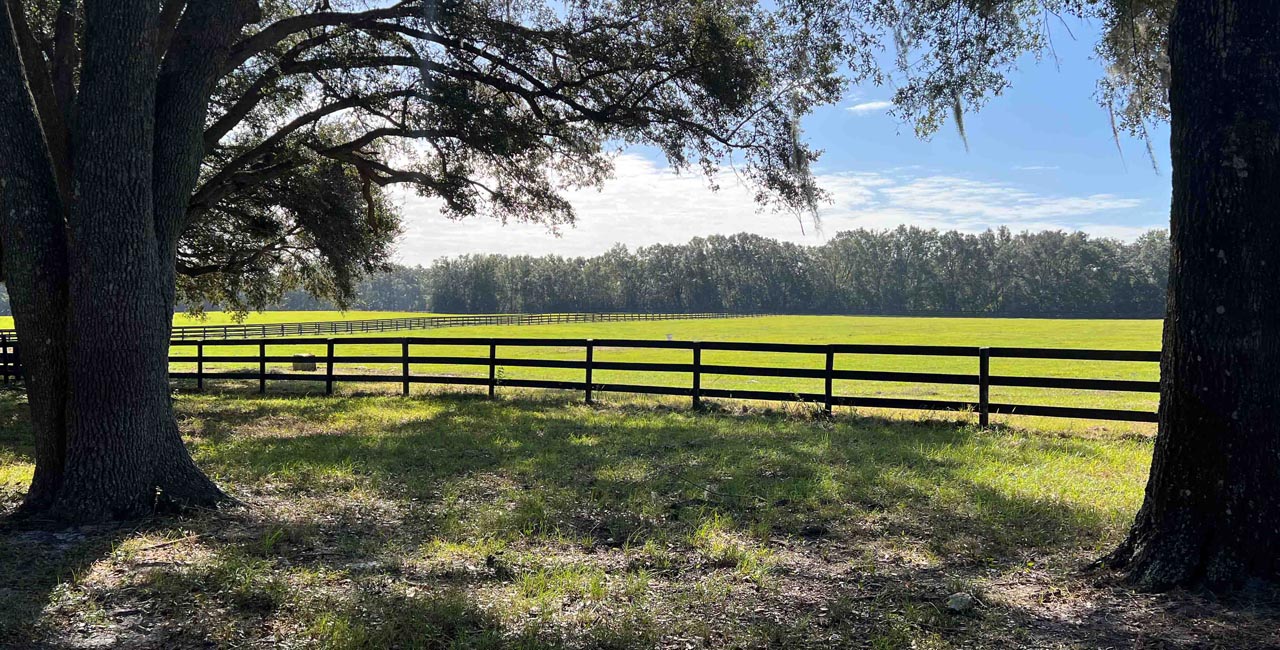 HOME - DIAMOND J RANCH