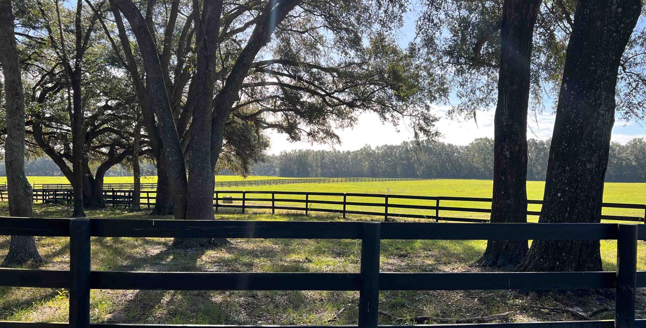 HOME - DIAMOND J RANCH