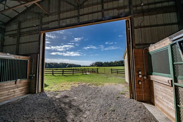 PHOTO GALLERY- DIAMOND J RANCH