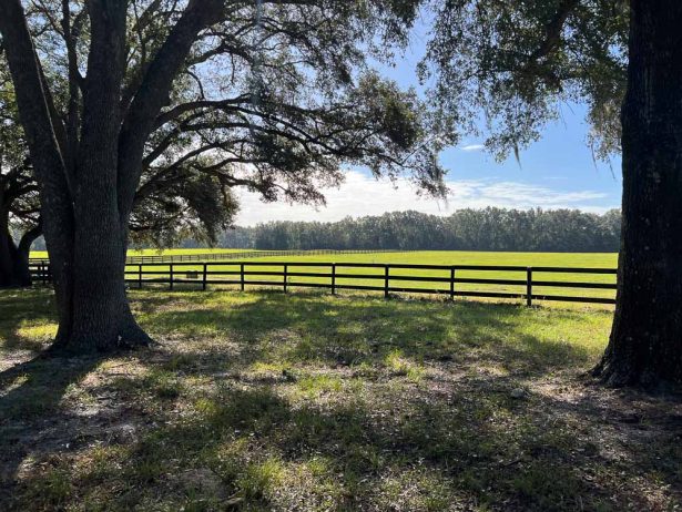 PHOTO GALLERY- DIAMOND J RANCH