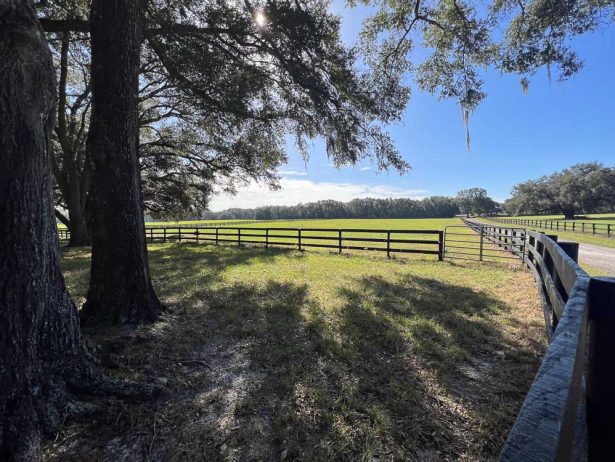 PHOTO GALLERY- DIAMOND J RANCH